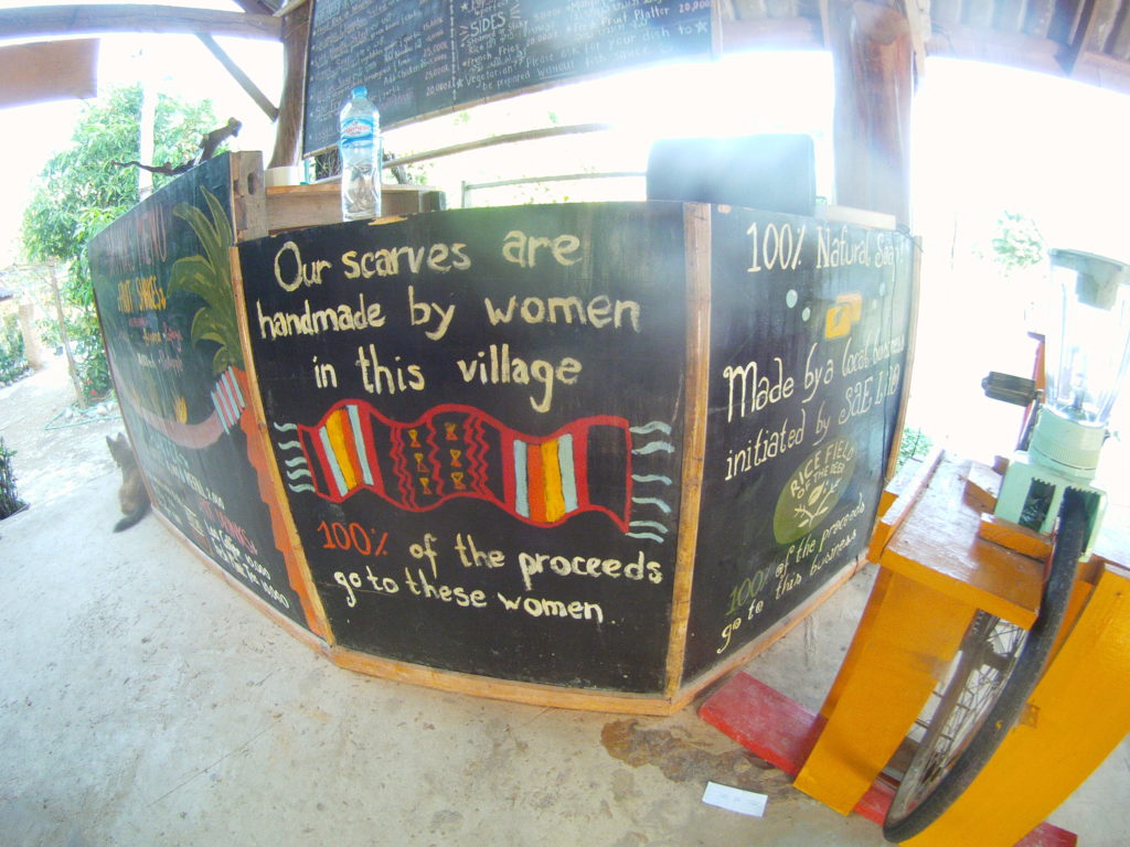 LAOS: Sae Lao Project & Equal Education For All (EEFA) - Vagabundler