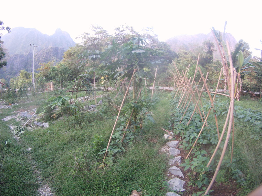 LAOS: Sae Lao Project & Equal Education For All (EEFA) - Vagabundler