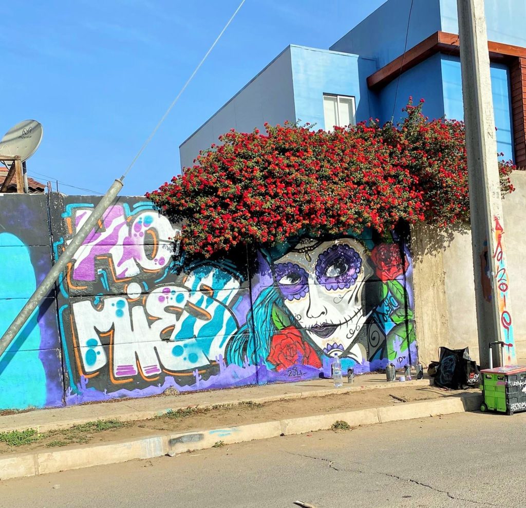 CHILE: Writer SNIP - Pampa Graffiti and Chilean Hip Hop Style ...