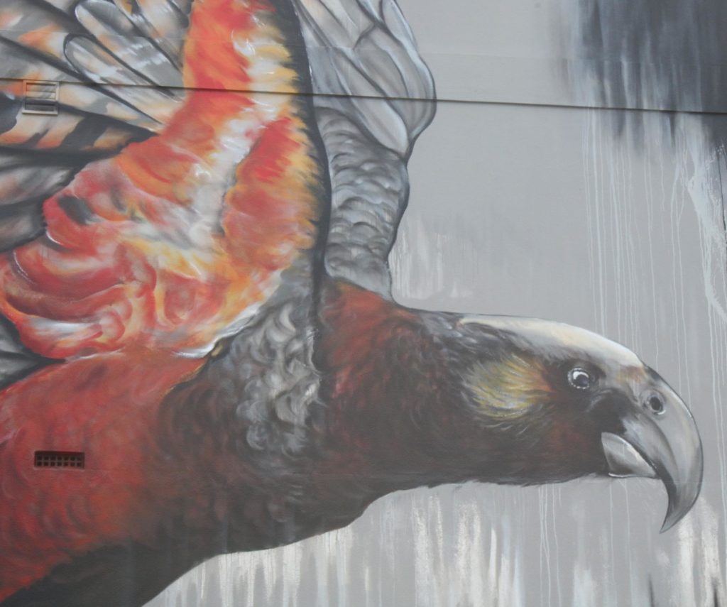 NEW ZEALAND: Streetart Dunedin - Urban Art Collection in Otepoti ...